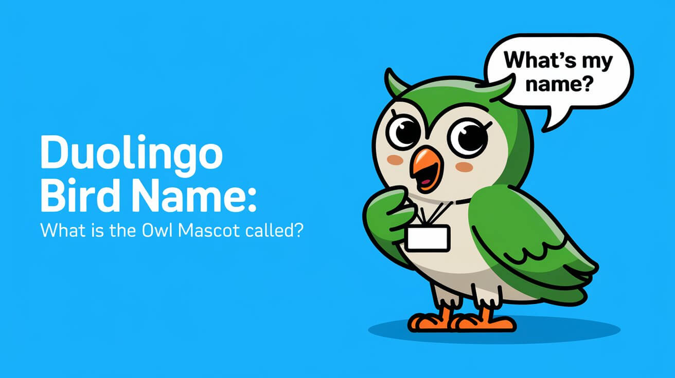 Duolingo Bird Name: What is the Owl Mascot Called?